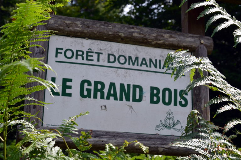 Visites - Syndicat d'Initiative de Vielsalm