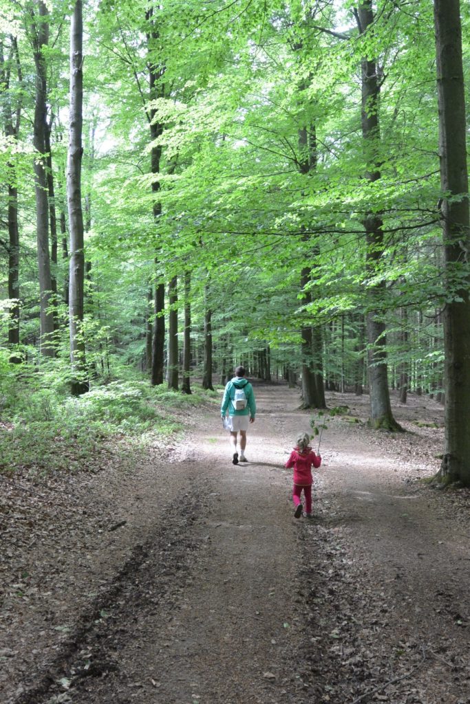 Les balades à Vielsalm | Syndicat d'Initiative de Vielsalm