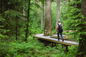 Activités | Syndicat d'Initiative de Vielsalm